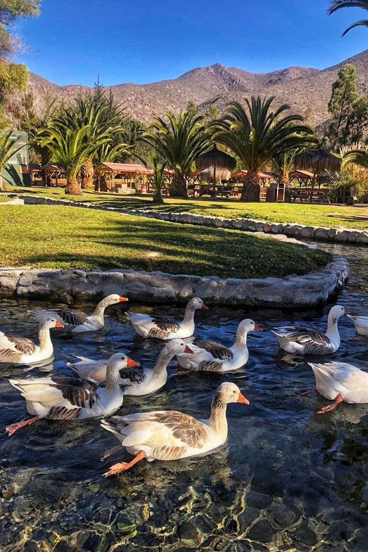 Las Vertientes de El Molle: Un parque natural de manantiales que ...