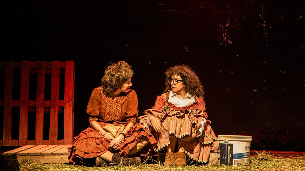 A teatro lleno las y los vicuñenses rieron y reflexionaron con la obra ...